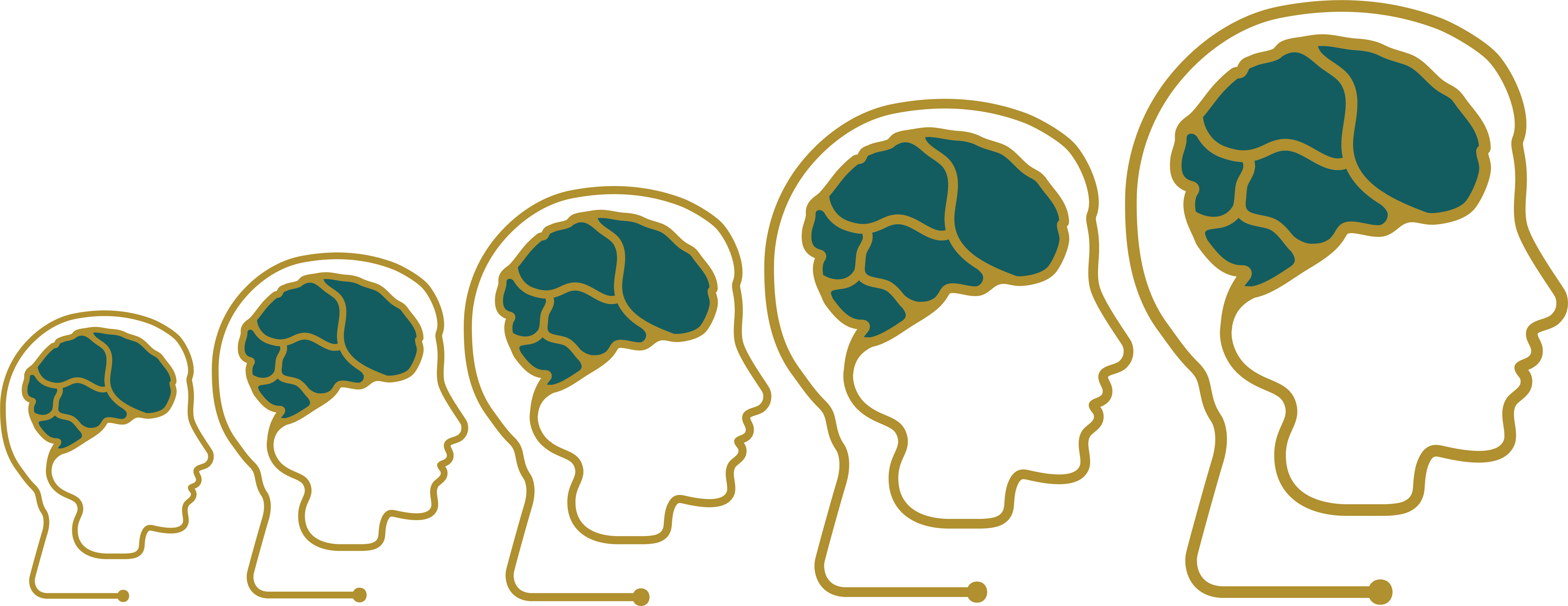 Program Overview | Arrowsmith